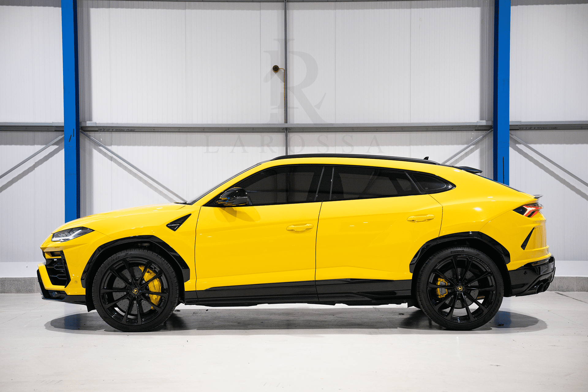 Urus Yellow-Black