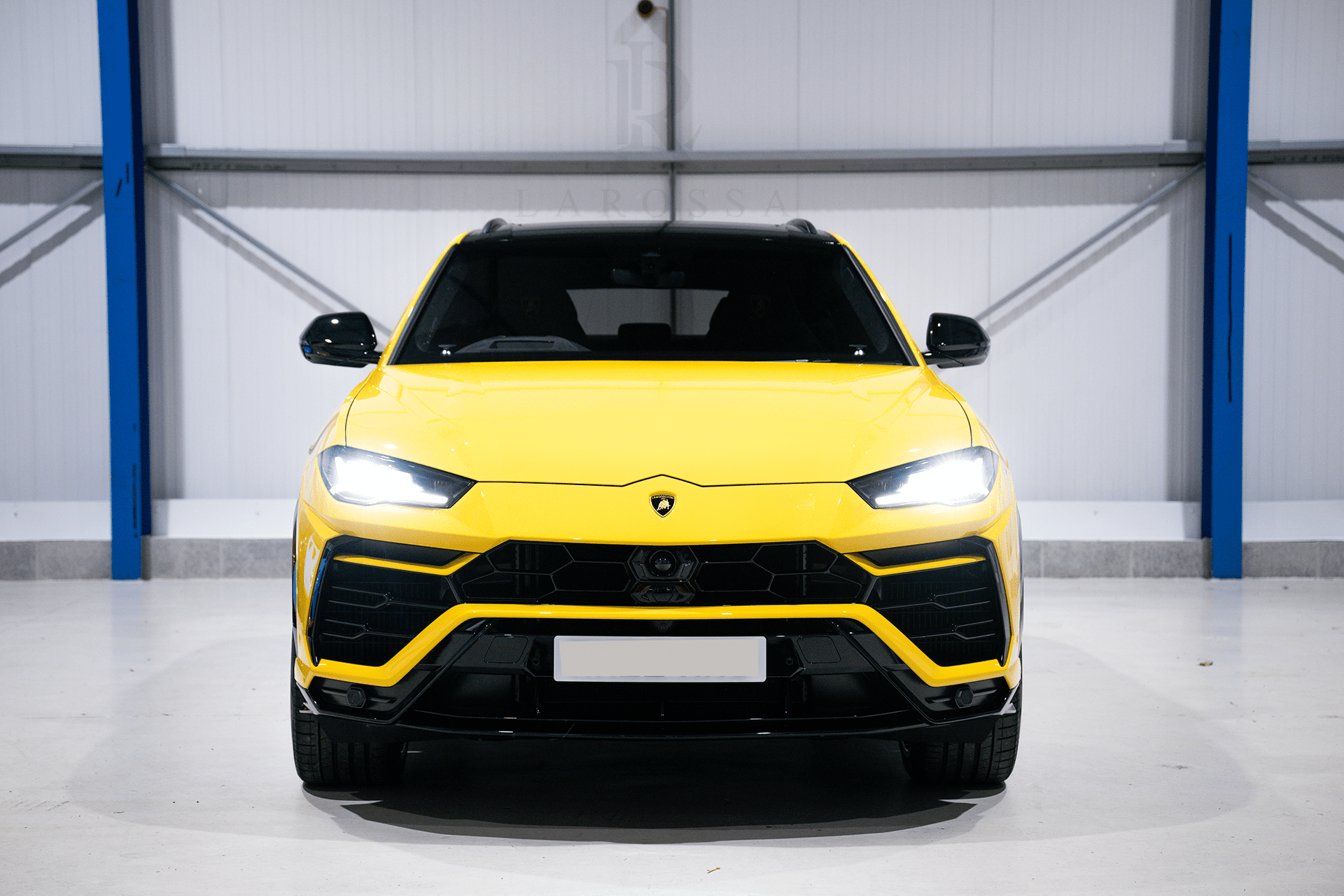 Urus Yellow-Black
